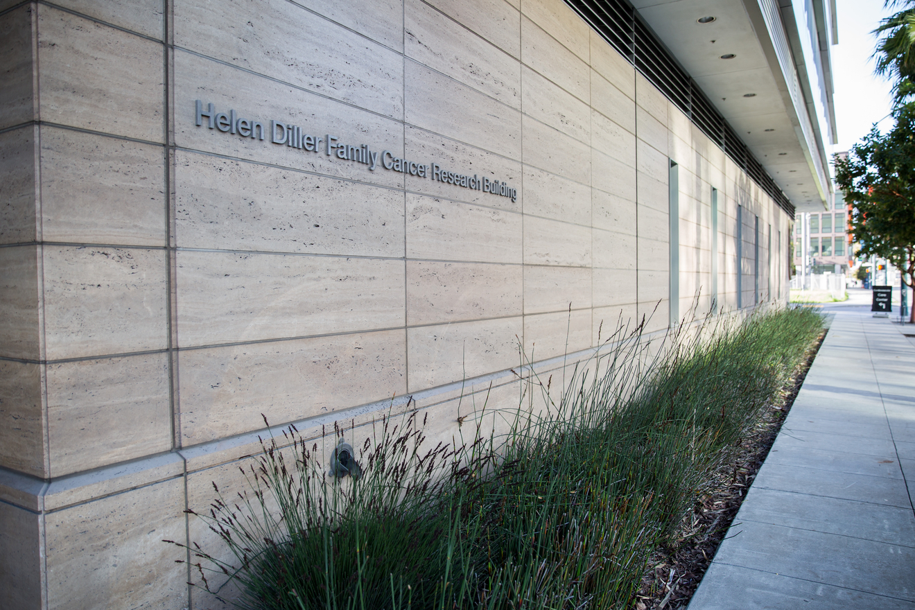 International Breast Cancer Conference Features UCSF Health Experts | UCSF Helen Diller Family ...